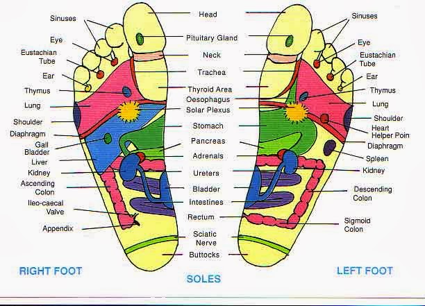FCU HOMESCHOOLING JOURNEY: MIRACLE OF FOOT REFLEXOLOGY (FCUMEDIC)