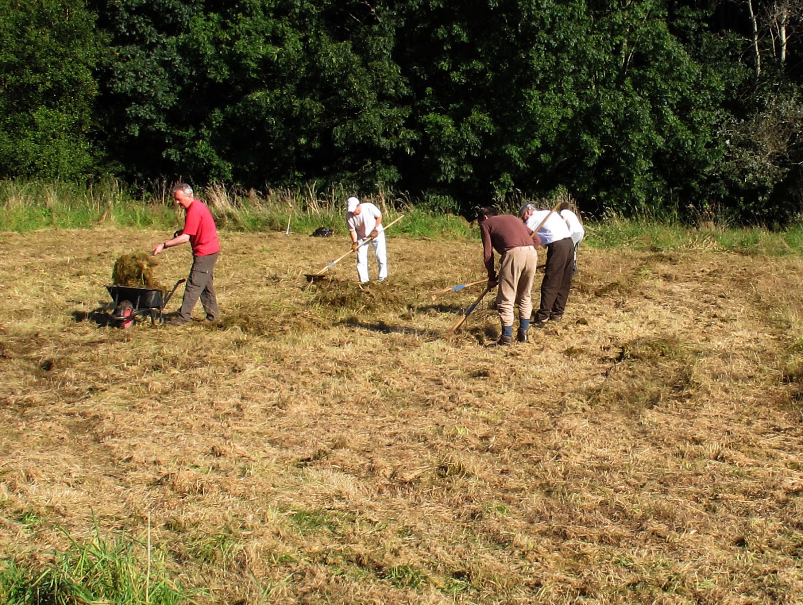 Friends of Chorlton Meadows: Making a Meadow on Ivy Green
