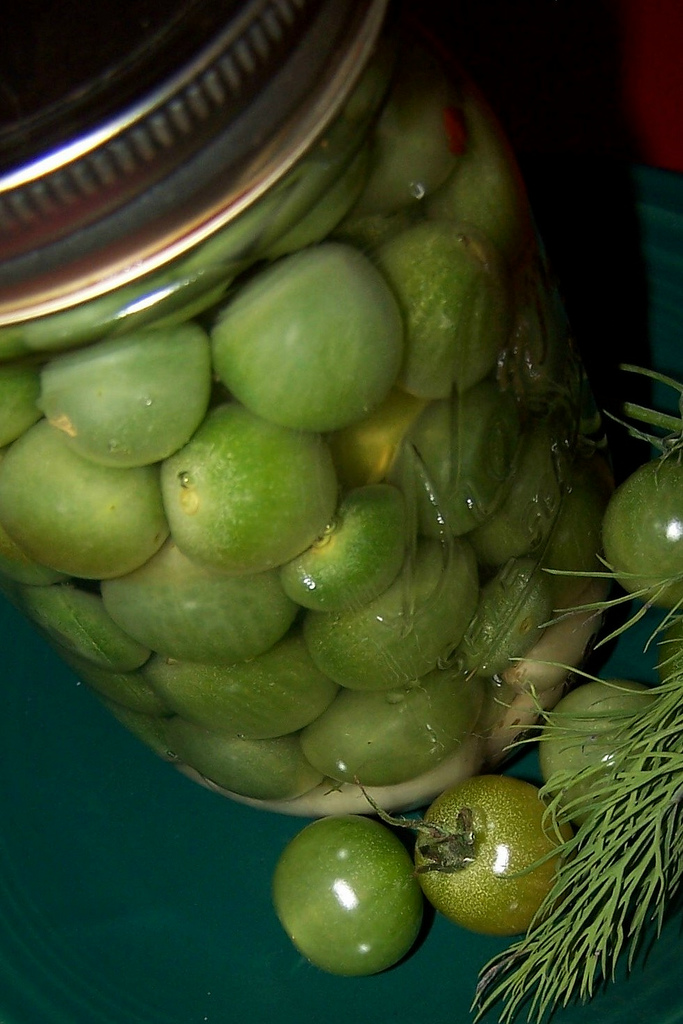 Olla Podrida Dan Fields Pickled Green Cherry Tomatoes