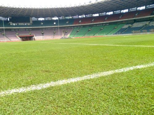 PUSAT RUMPUT SINTETIS TAMAN & FUTSAL DAN VERTICAL GARDEN SINTETIS ...