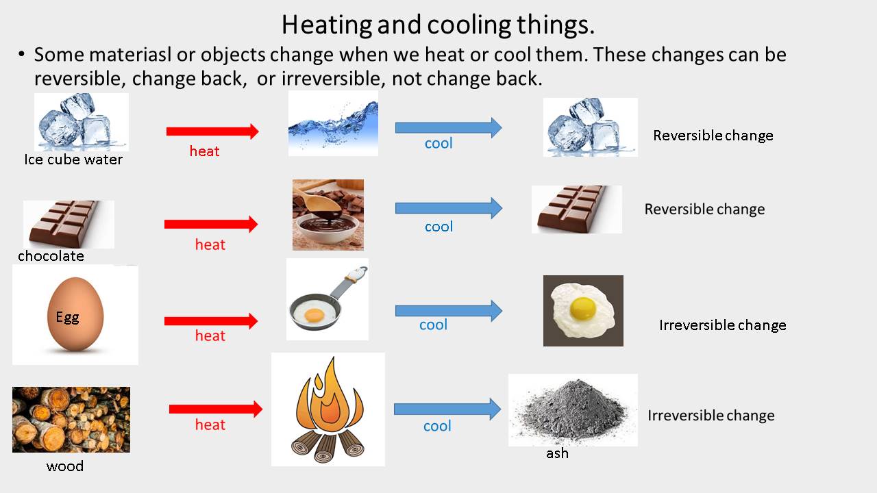 BASILIO SÁEZ - 2ND GRADE: Unit 5 Natural Science - Matter and forces.