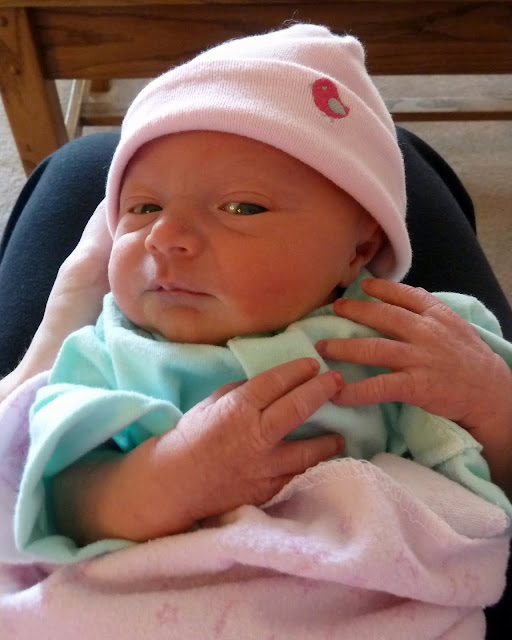 Baby Gang Signs
