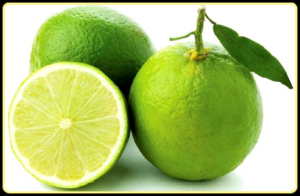 5 Khasiat Kebaikan Kegunaan Buah Limau Nipis Yang Perlu Anda Ketahui