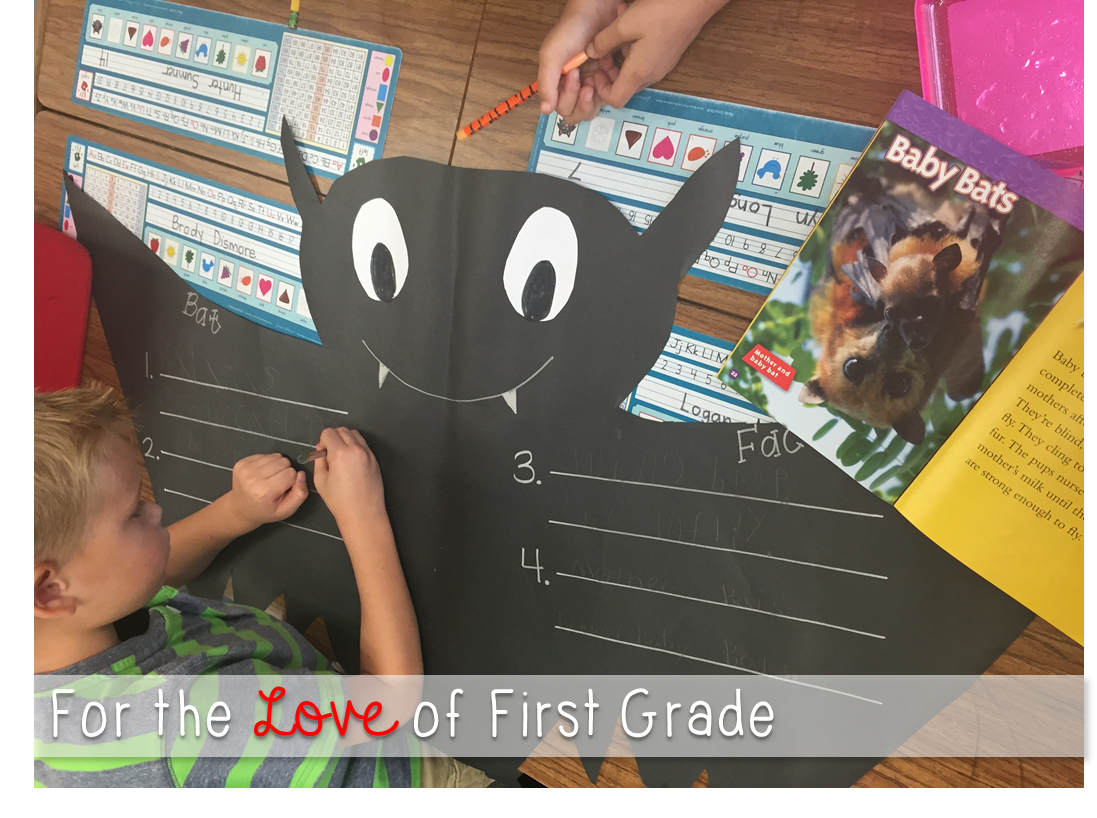 For the Love of First Grade: Fiction or Non-Fiction?