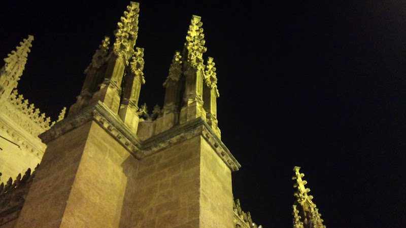 Sousies tägliche Gedanken