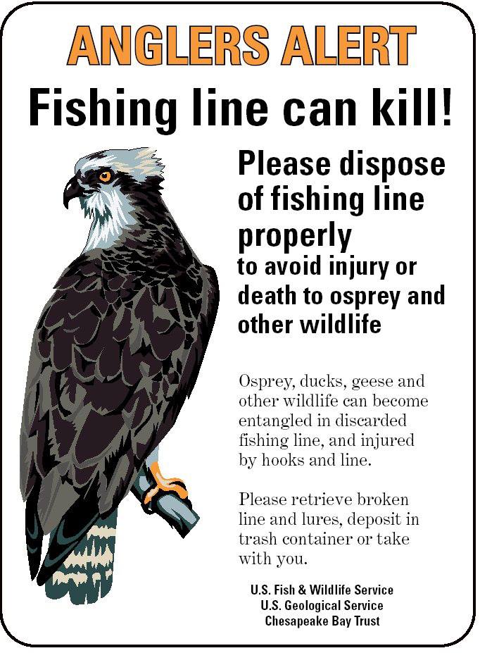 Eagle Information: Eagle Documents and Pictures