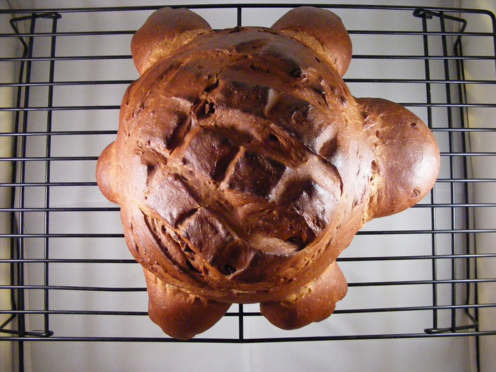 Weekend Experiments: Chocolate Turtle Bread!