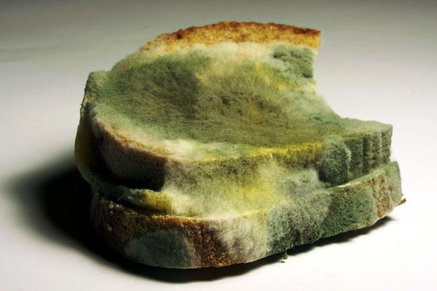 PLUTA LUI SURRY: INTERACTIUNI SI REACTII.CU MASCA ,FARA MASCA ...