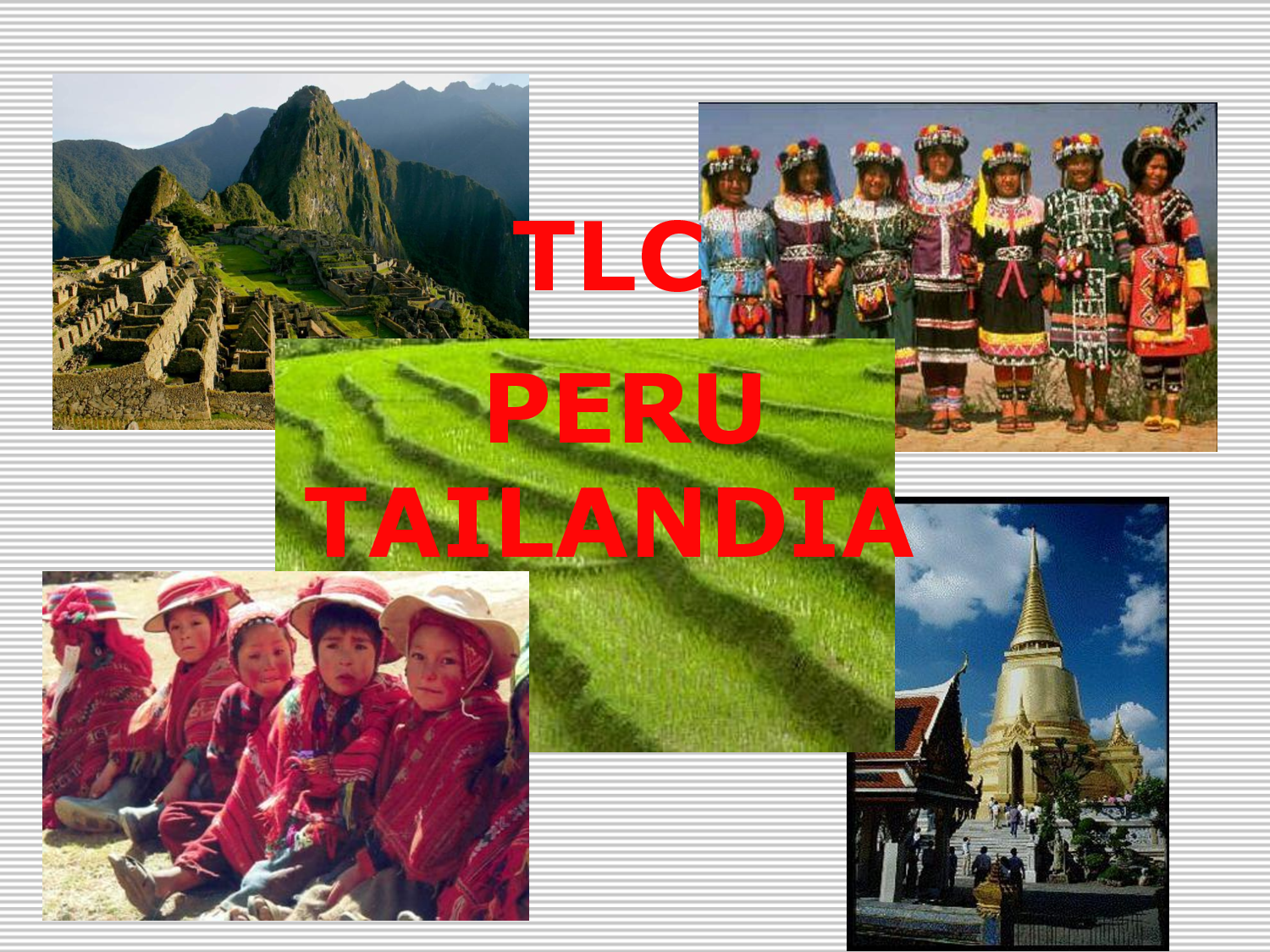 TLC USA - PERU TRATADO DE LIBRE COMERCIO CON ESTADOS UNIDOS: 2013