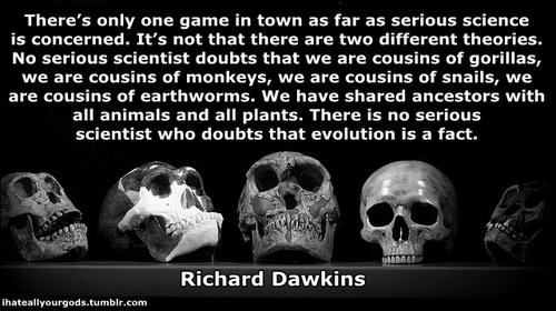 Oh, by the way...: "Proof Of Evolution That You Can Find On Your Body"