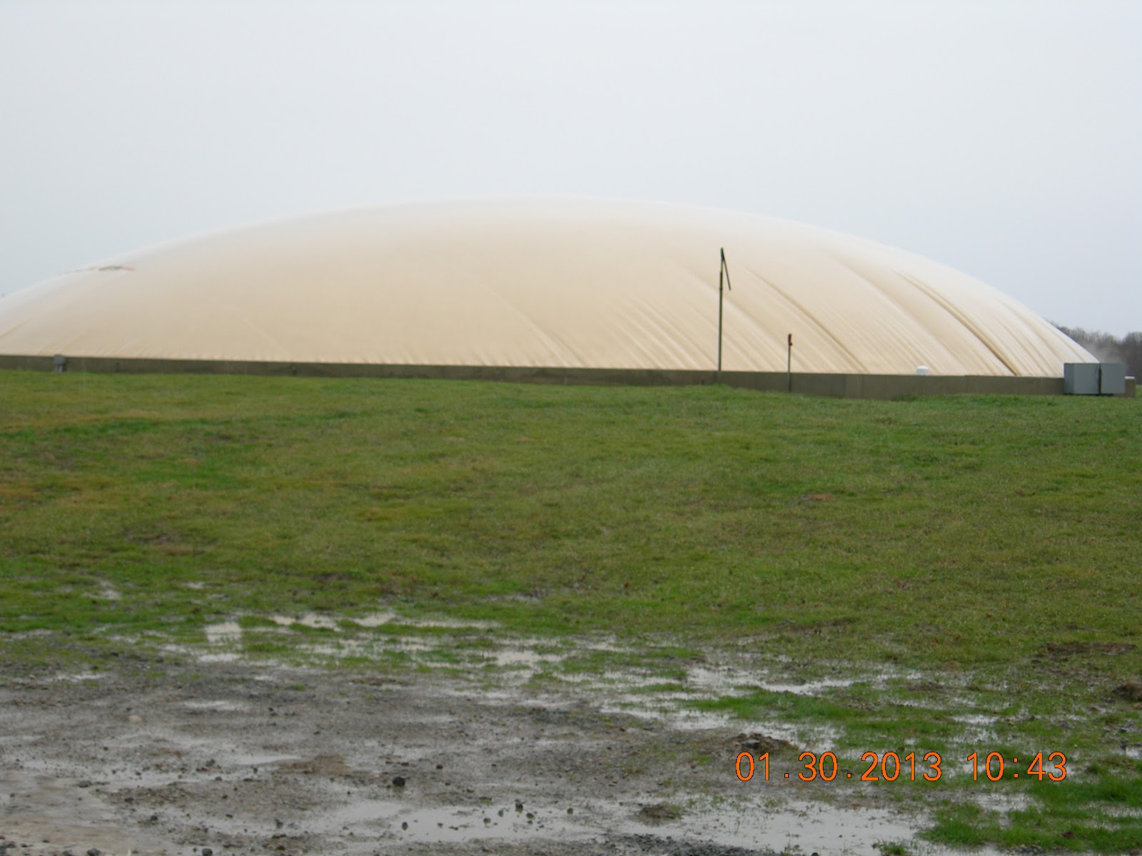 Senior Activists Living Together: TOURING A NEIGHBOR'S FARM
