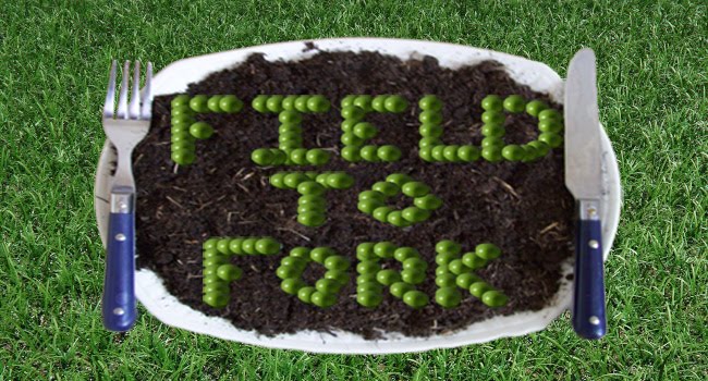 Field To Fork: What Is field to fork?