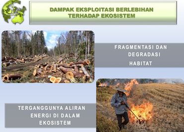 Kliping Eksploitasi Sumber Daya Alam - TUKANG NGETIK