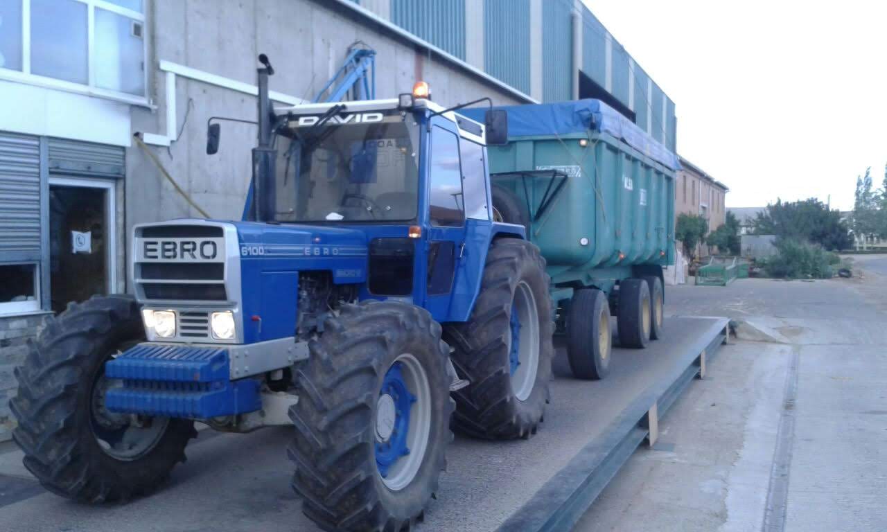 Ebro 6100. The colossus of the field