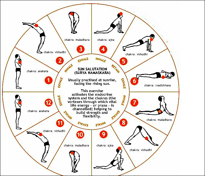 सूर्य नमस्कार : विभिन्न आसन, महत्व और विधियाँ !! - विश्व योग दिवस २१ ...