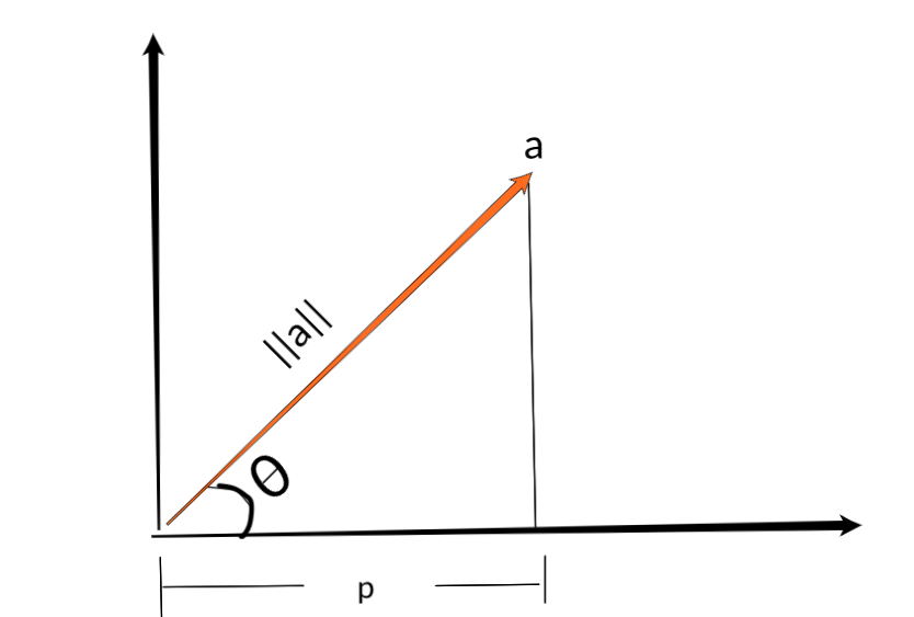 A 'Vector' has only one direction