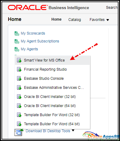 Oracle Applications: Oracle Fusion Smart View Setup Training Manual
