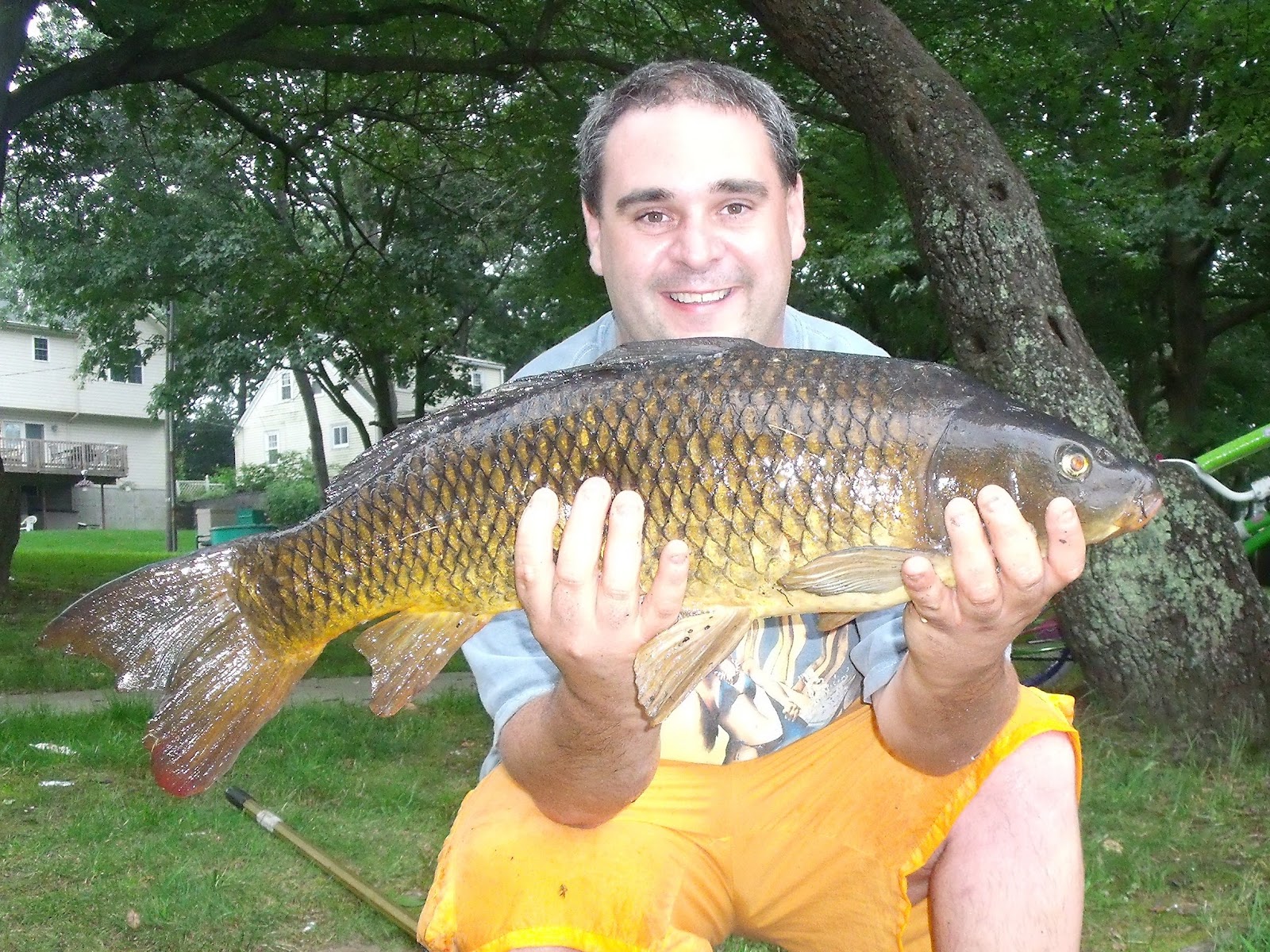 Southern New England Outdoor and Nature Site: Stop calling carp trash ...