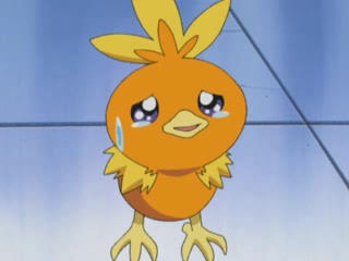 Poké-Arquivo: 255 - Torchic ~ PMD || Acervo de Imagens de Digimon e ...