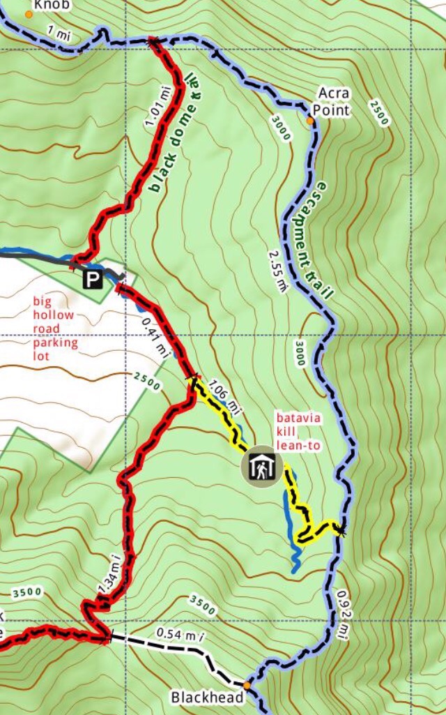 The Botanical Hiker: A Return to the Catskill Forest Preserve