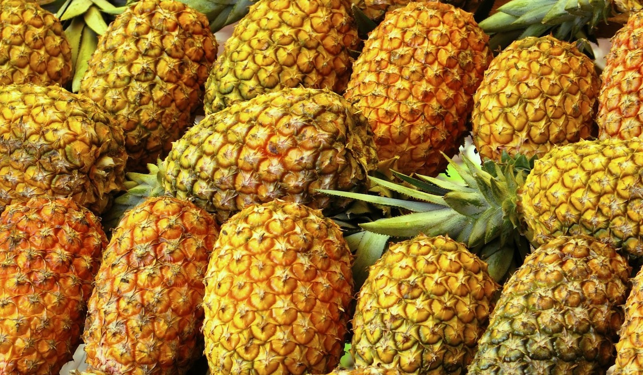 Health Lovers News