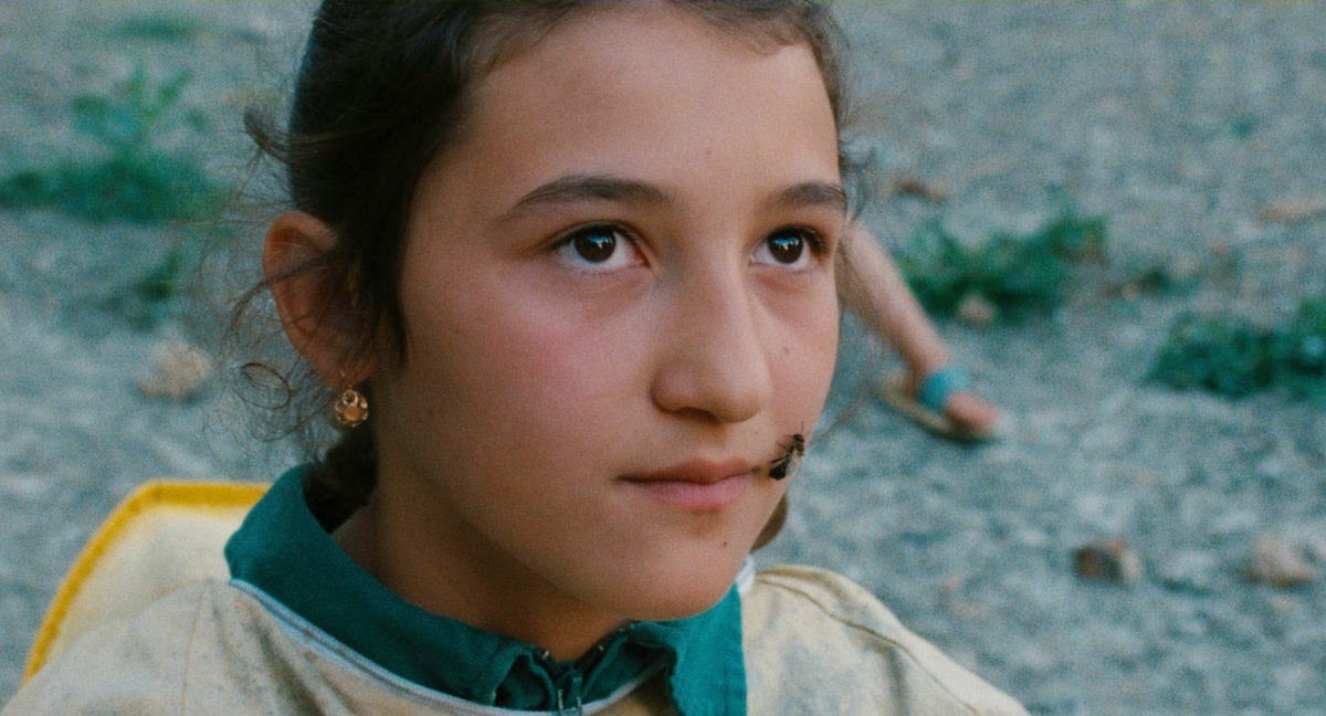 Le Meraviglie 2014 The Wonders