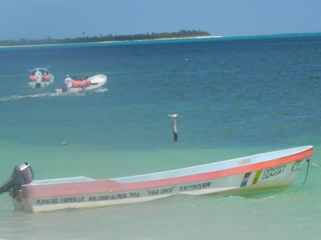 Idaho Chicken Ranch: Mexico 2013: Punta Allen Boats