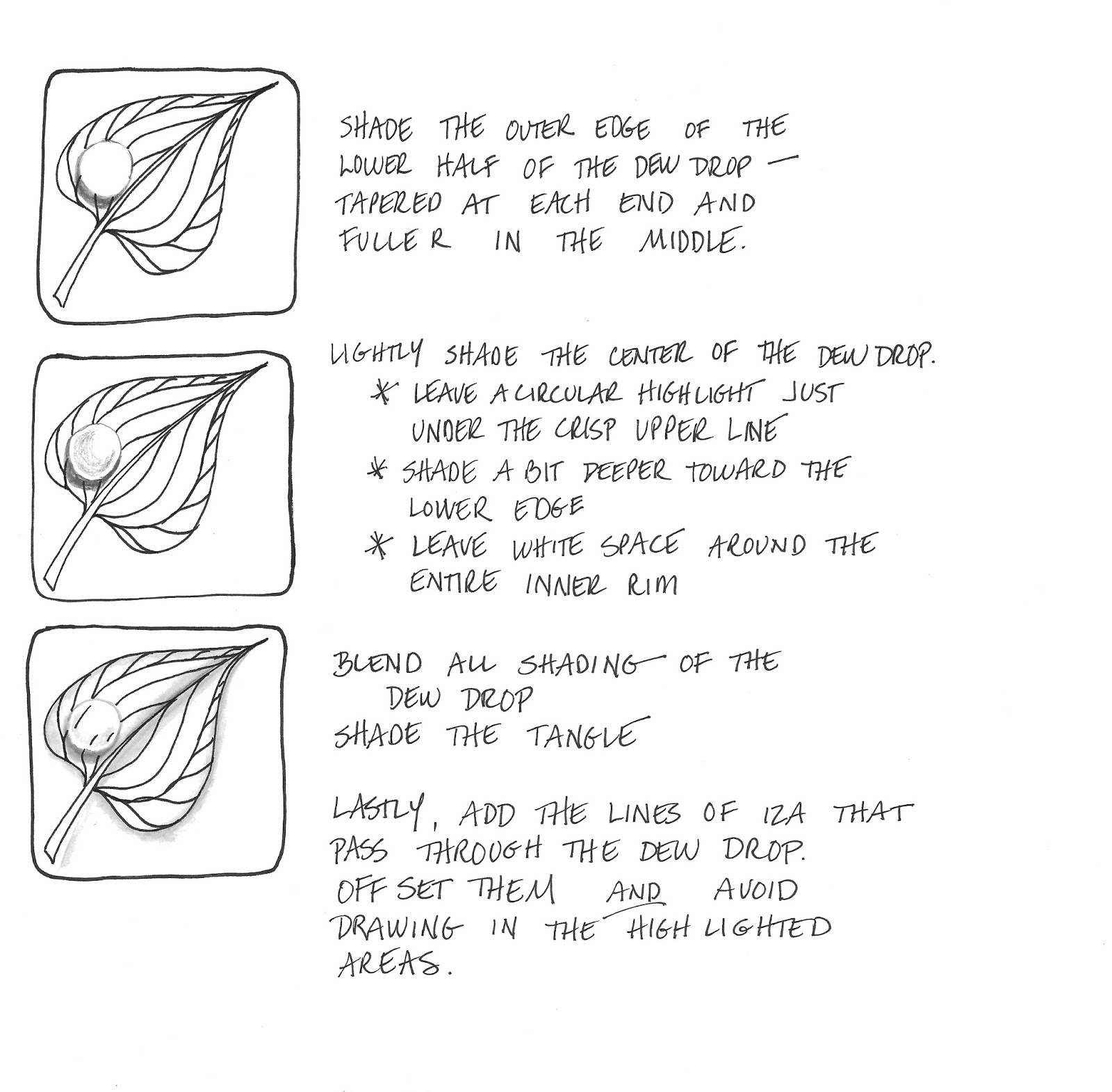 Tickled To Tangle: Tips for Tangling Dew Drops on IZA