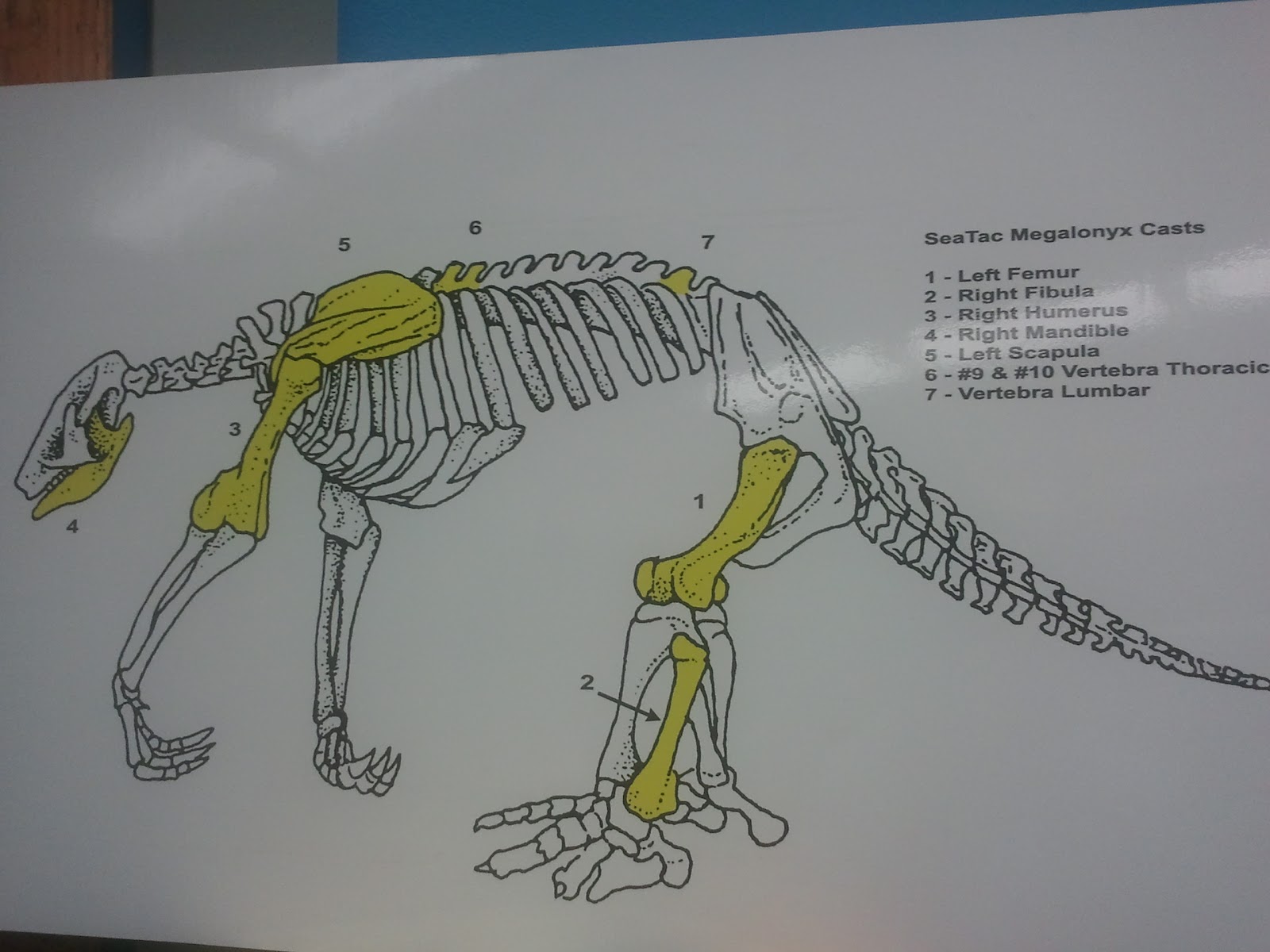 Highline School Superintendent Blog: Highline Historical Society ...