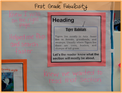 First Grade Fabulosity