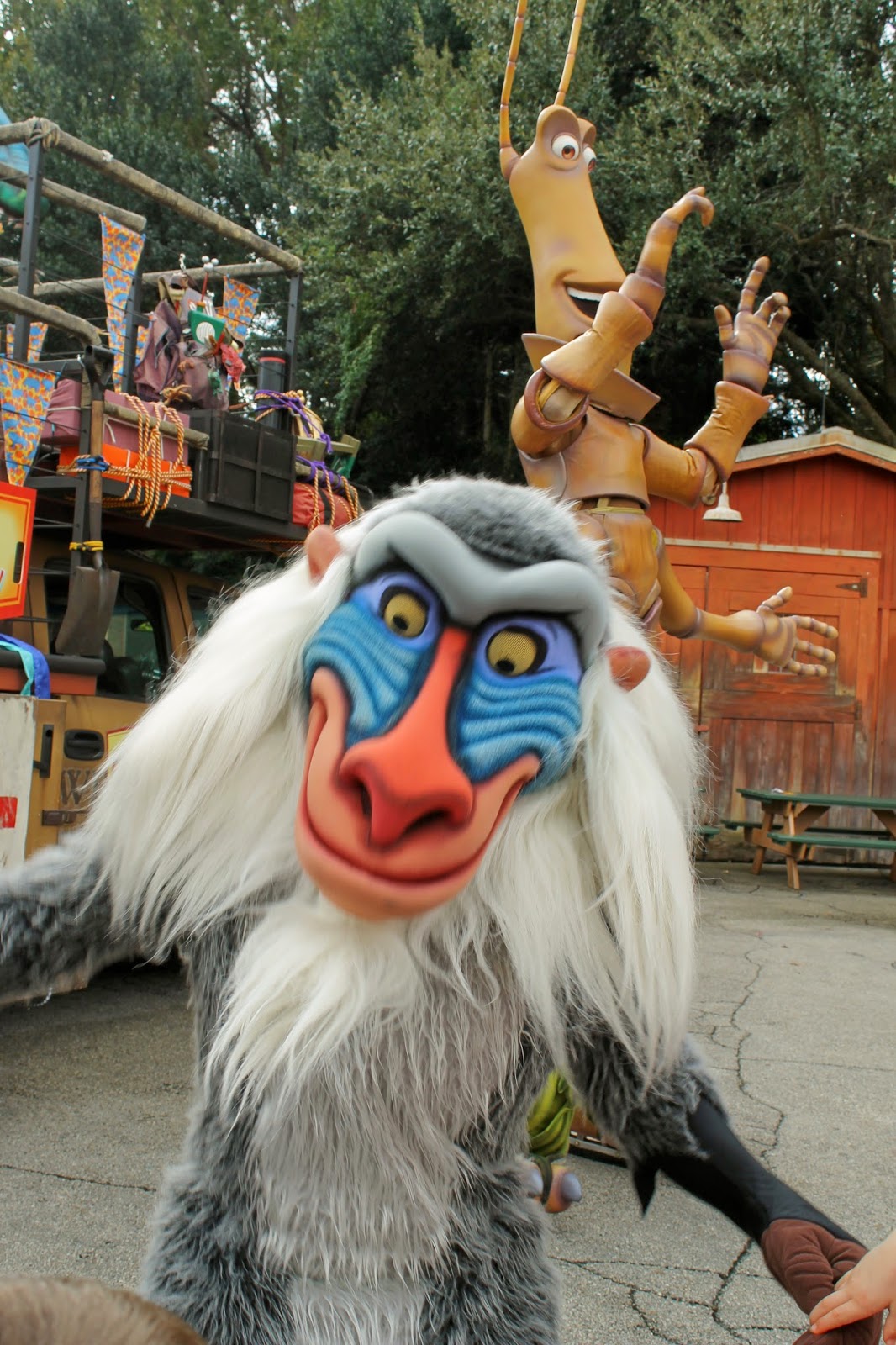 Unofficial Disney Character Hunting Guide: Dinoland Dance Party Debuts ...