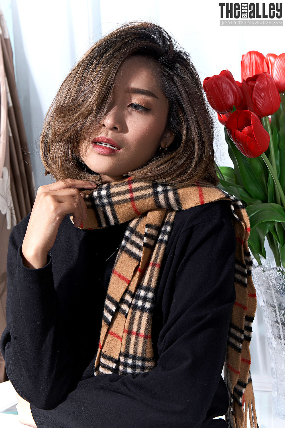 [The Black Alley] Apple Set 50