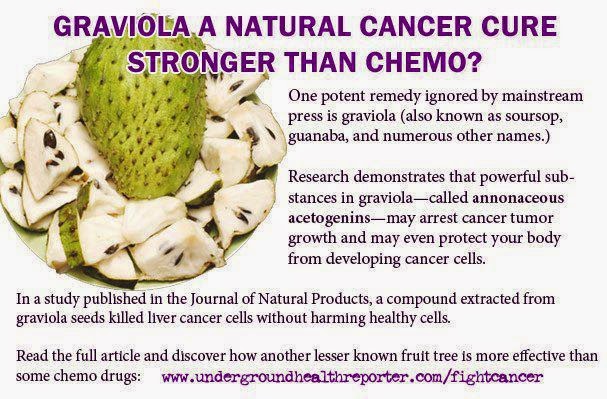 Live Healthy Live Longer: Can Graviola (Soursop) Cure Cancer