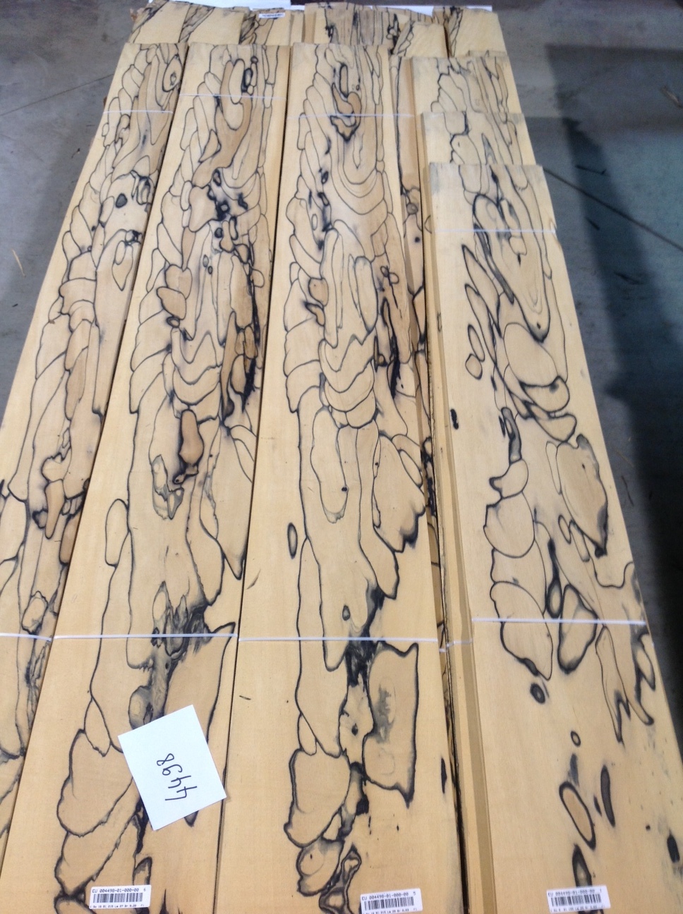 BOIS DE PLACAGE TRANCHE: L'Ebène Blanc - l'essence précieuse