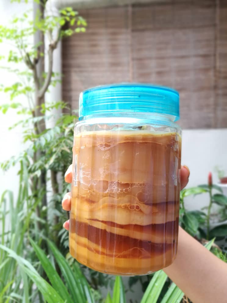 My Scoby is Thicker than Yours