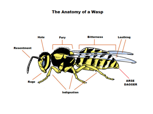 One For The Road: Anatomy of a Wasp