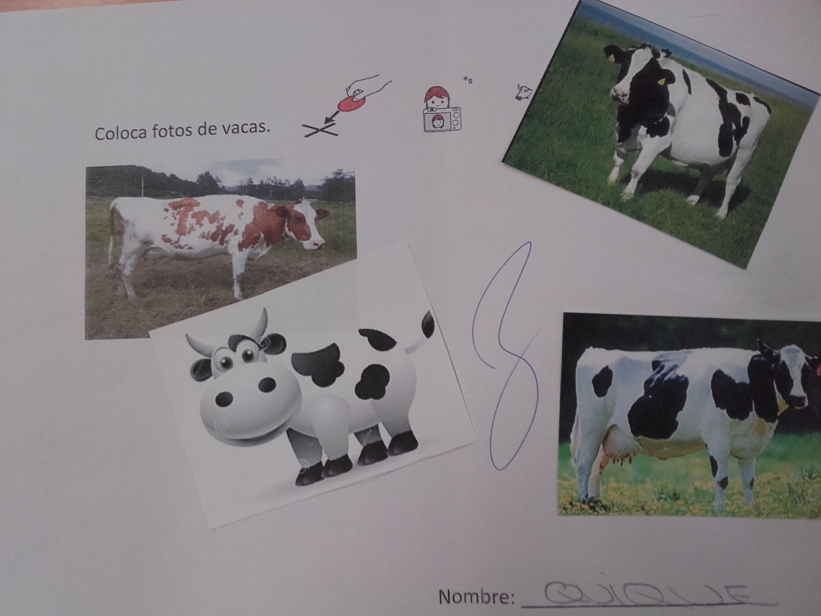 CONECTA CON MI AULA DE P.T: Proyecto Animales: la vaca