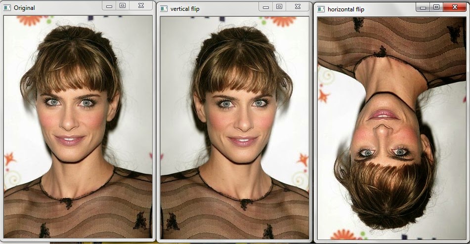 Technology Blog Horizontal And Vertical Flip Using Opencv And Python