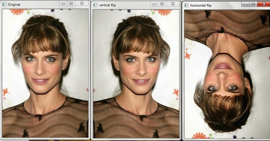 Technology Blog : Horizontal and vertical Flip using opencv and python