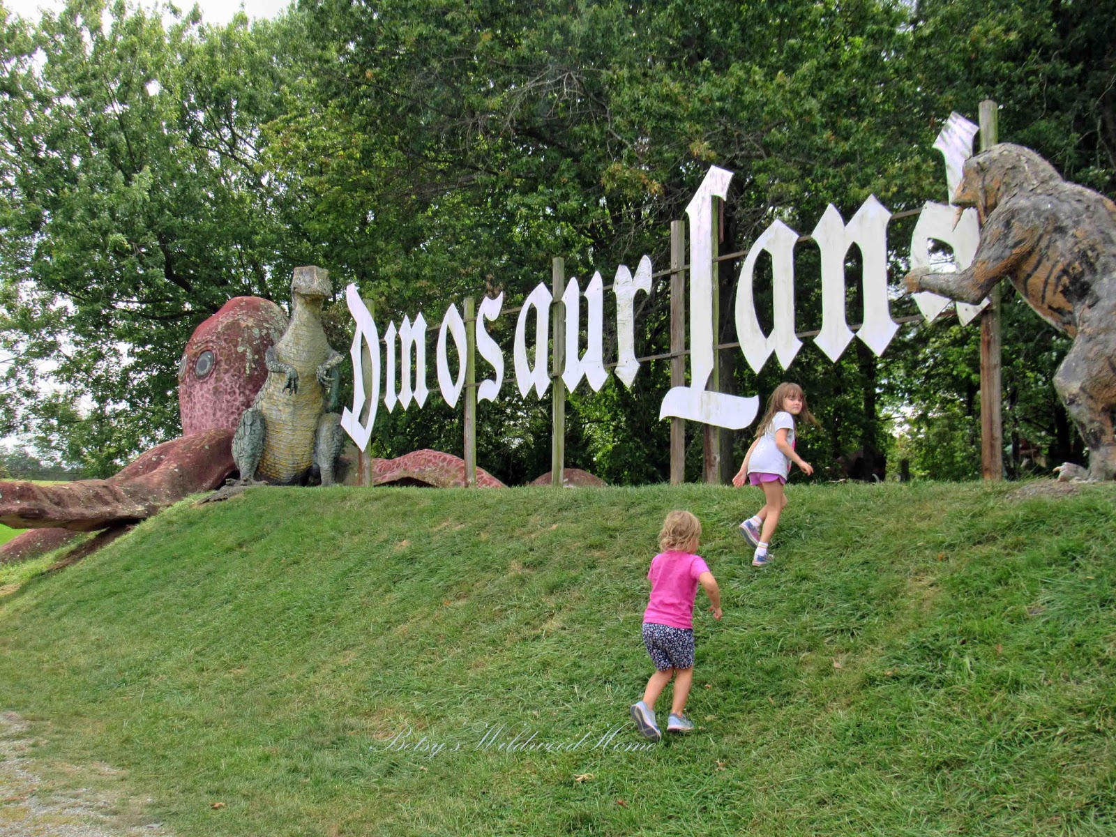 Betsy's Wildwood Home: A look back to Dinosaur Land (1)