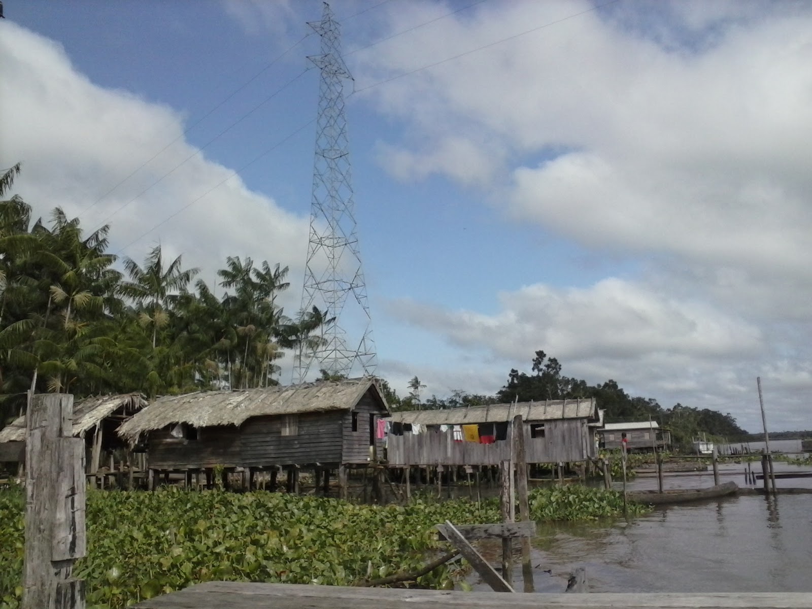 Meio Ambiente, Açaí e Farinha: Linhão de Tucuruí e Comunidades