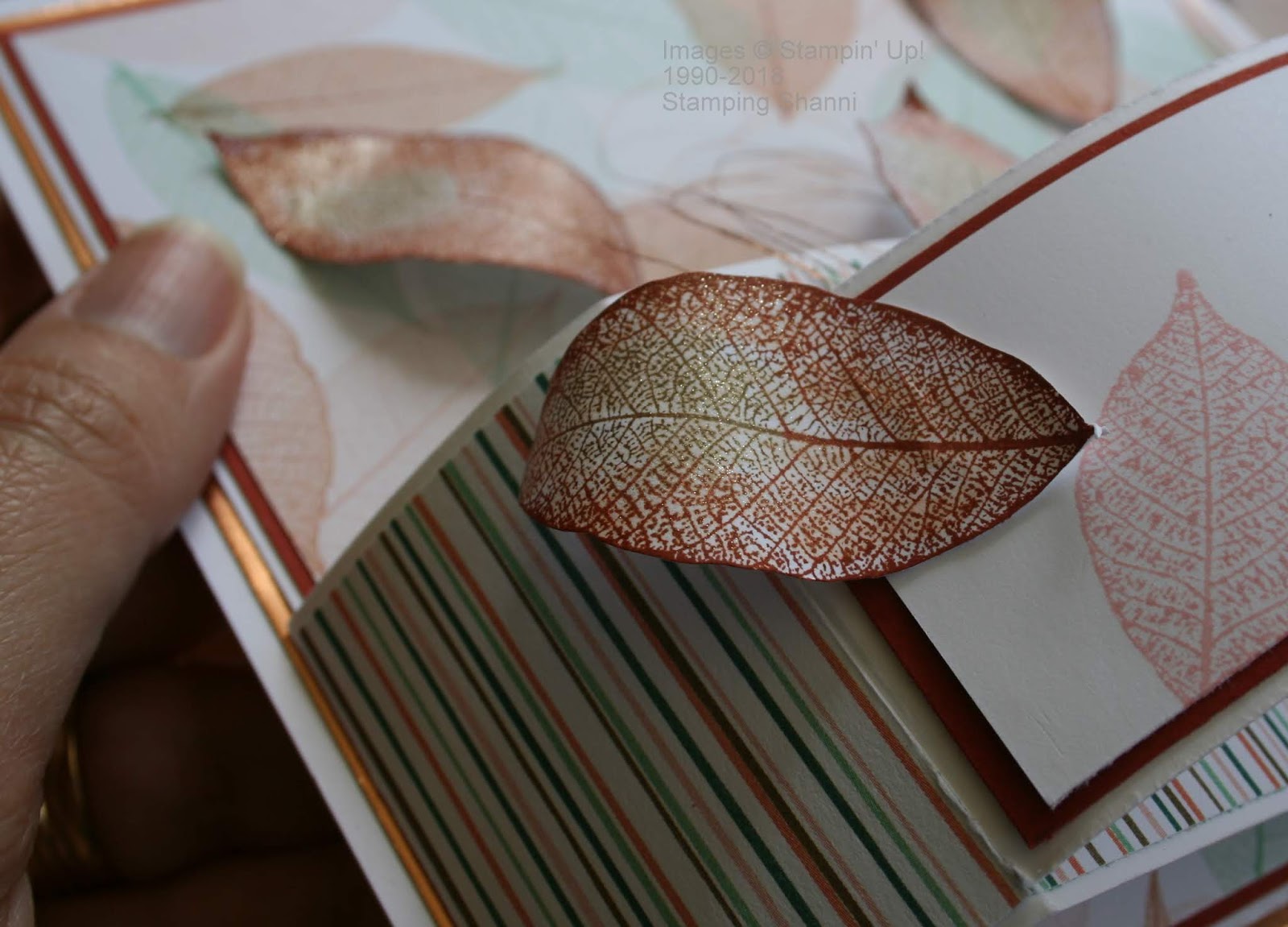 Stamping Shanni: Fancy Folds - Bend Fold Cards