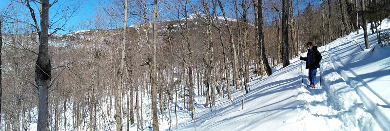 Travels of Antares : Back Home