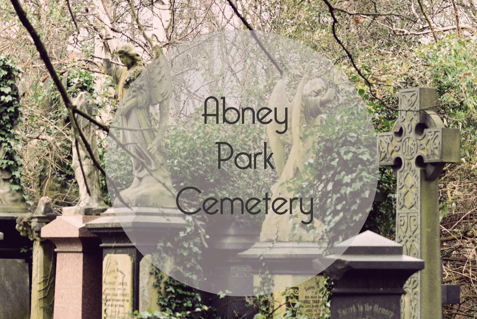 Book&aCuppa: Abney Park Cemetery