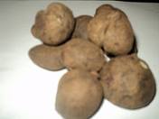 Wonderful Kola Info: Medicinal Uses Of Wonderful Kola (Hydrocotyle Asiata)