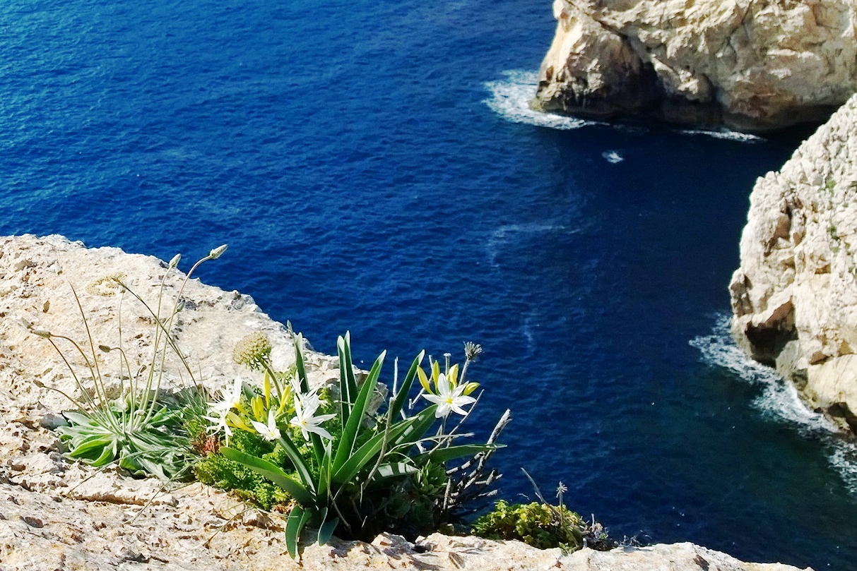L'anima dei luoghi: La grotta dei Cocci Rotti: un panorama infinito