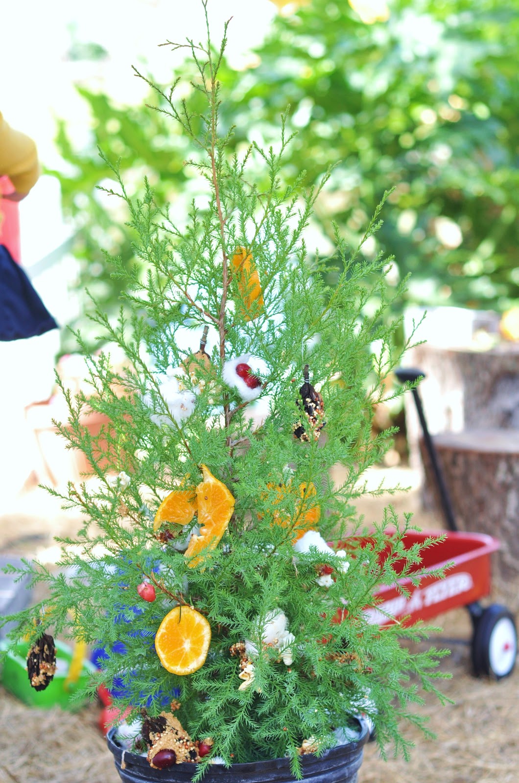 A Natural Nester: Winter Lights ~ The Winter Solstice and Honoring Nature