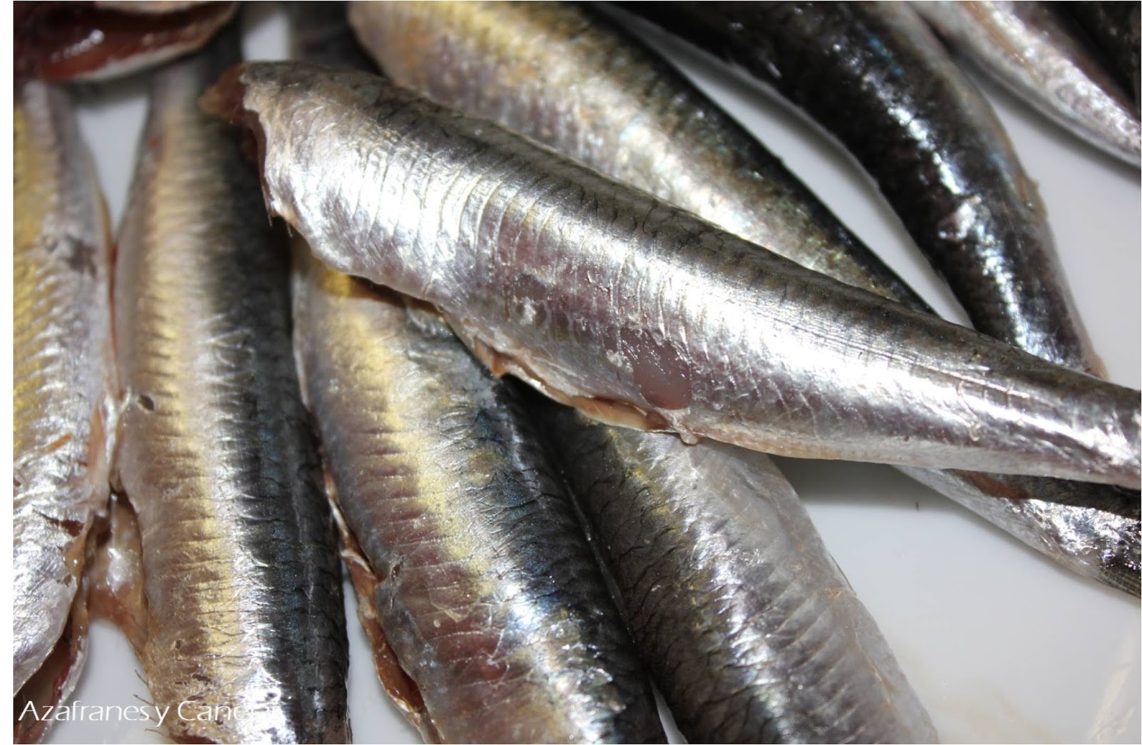 Boquerones a la plancha - Azafranes y Canelas