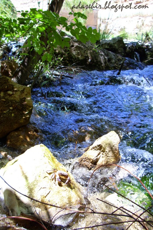 adaşehir: Beyaz Su @ Mardin