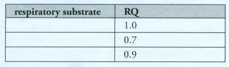 #97 Summary of Energy and Respiration | Biology Notes for A level